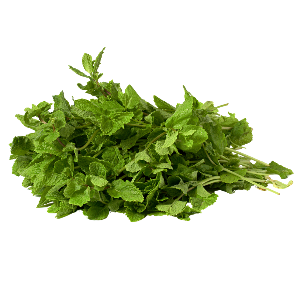 Mint - Veldboer Eenhoorn Horeca & Grootverbruik